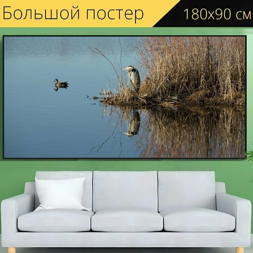 Большой постер "Озеро, трава, утка" 180 x 90 см. для интерьера