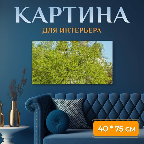 Картина на холсте "Одесса, сквер, зелень" на подрамнике 75х40 см. для интерьера