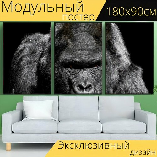 Модульный постер "Горилла, обезьяна, зоопарк" 180 x 90 см. для интерьера