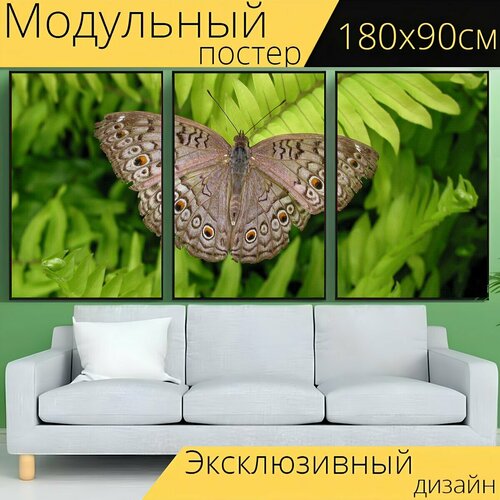 Модульный постер "Бабочка, насекомое, природа" 180 x 90 см. для интерьера