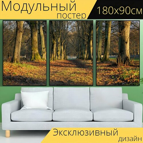 Модульный постер "Деревья, дорожка, лес" 180 x 90 см. для интерьера