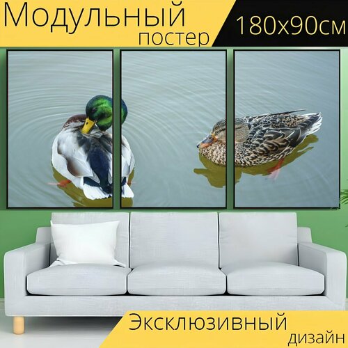 Модульный постер "Крякв, утки, озеро" 180 x 90 см. для интерьера