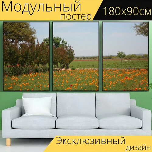 Модульный постер "Маки, цветы, поле" 180 x 90 см. для интерьера