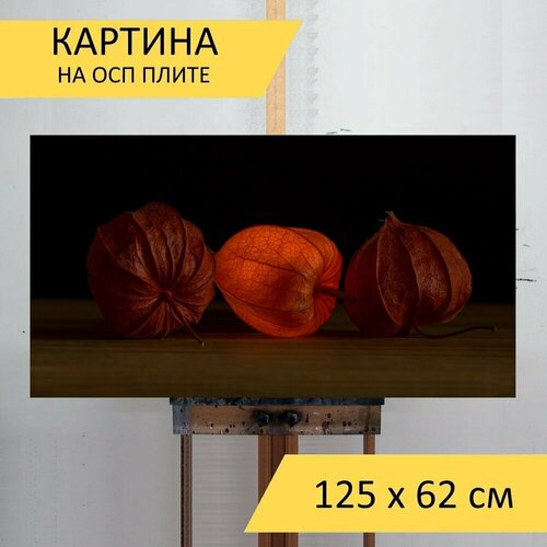 Картина на ОСП 125х62 см. "Лампион цветок, физалис, апельсин" горизонтальная, для интерьера, с креплениями