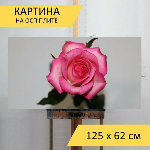 Картина на ОСП 125х62 см. "Роза, розовый, романтичный" горизонтальная, для интерьера, с креплениями