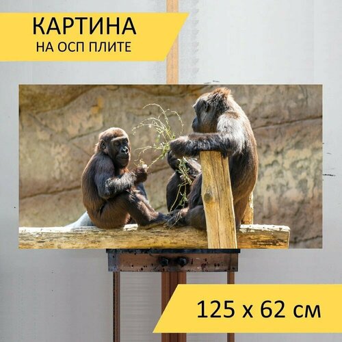 Картина на ОСП 125х62 см. "Обезьяна, примат, горилла" горизонтальная, для интерьера, с креплениями