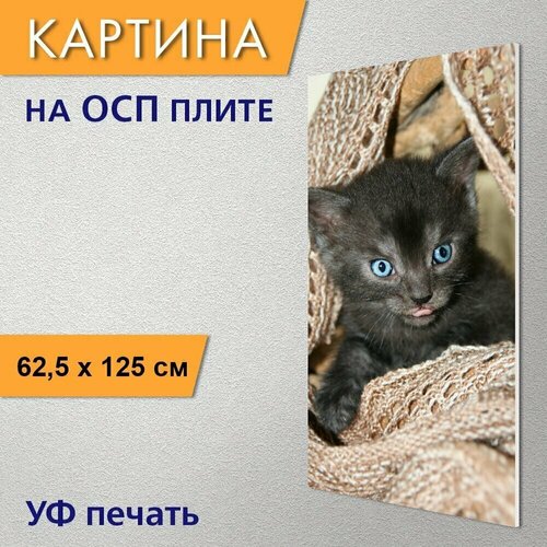 Вертикальная картина на ОСП "Кот, котенок, шарф" 62x125 см. для интерьериа