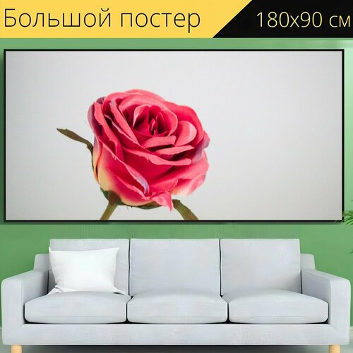 Большой постер "Красный, роза, цветок" 180 x 90 см. для интерьера