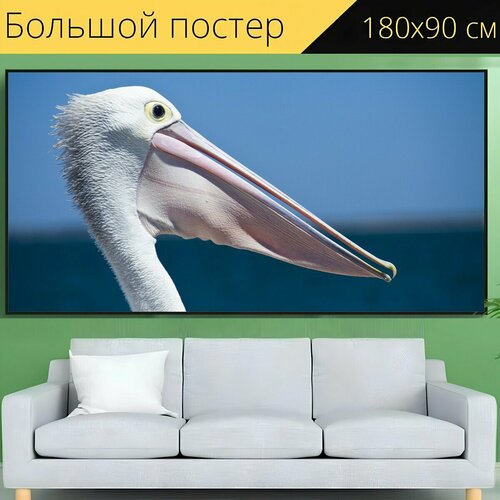 Большой постер "Пеликан, сиберд, прибрежные птицы" 180 x 90 см. для интерьера