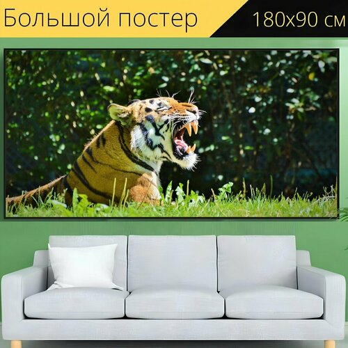 Большой постер "Тигр, большой кот, кот" 180 x 90 см. для интерьера