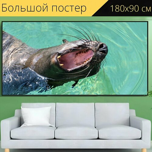 Большой постер "Морской лев, зевать, воды" 180 x 90 см. для интерьера