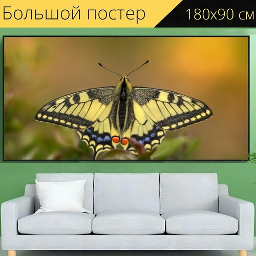 Большой постер "Старый мир ласточкин хвост, бабочка, насекомое" 180 x 90 см. для интерьера