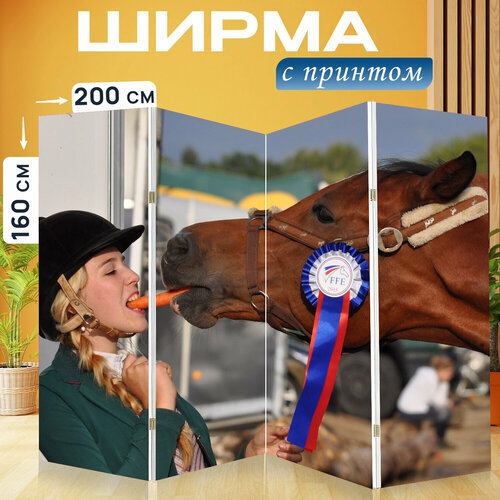 Ширма перегородка с принтом "Лошадь, девочка, победитель" на холсте - 200x160 см. для зонирования, раскладная