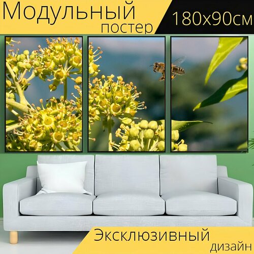 Модульный постер "Пчела, цветочная пыльца, природа" 180 x 90 см. для интерьера