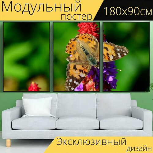 Модульный постер "Бабочка, цвести, природа" 180 x 90 см. для интерьера