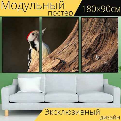 Модульный постер "Великий дятел, птица, природа" 180 x 90 см. для интерьера