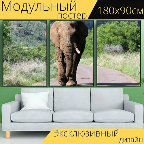 Модульный постер "Африканец, слон, бык" 180 x 90 см. для интерьера