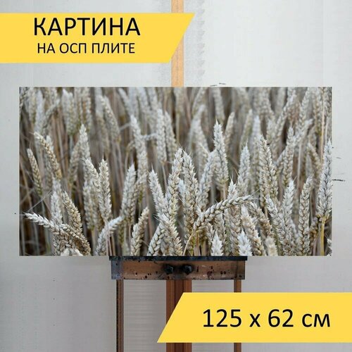 Картина на ОСП 125х62 см. "Пшеница, колосья пшеницы, сельское хозяйство" горизонтальная, для интерьера, с креплениями