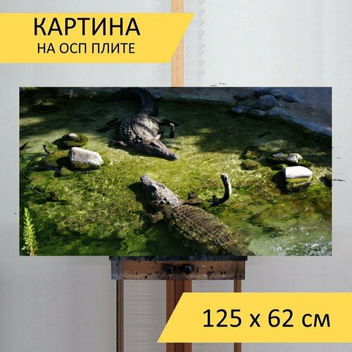 Картина на ОСП 125х62 см. "Крокодилы, животные, зоопарк" горизонтальная, для интерьера, с креплениями