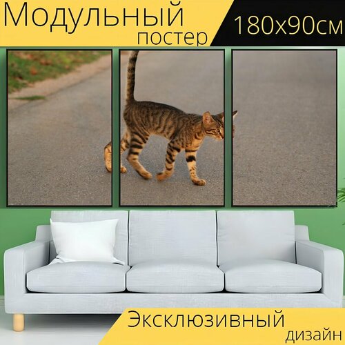 Модульный постер "Кошка, ходить, парк" 180 x 90 см. для интерьера