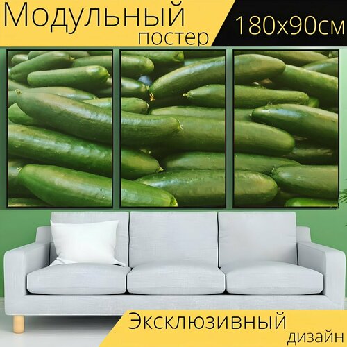 Модульный постер "Огурец, овощи, зеленый" 180 x 90 см. для интерьера