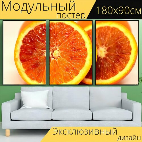Модульный постер "Королек, фрукты, цитрусовые" 180 x 90 см. для интерьера