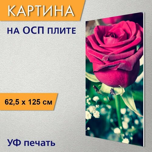 Вертикальная картина на ОСП "Цветок, роза, природа" 62x125 см. для интерьериа