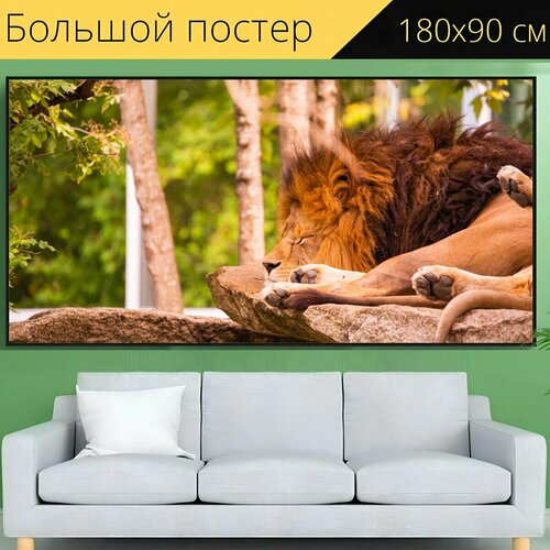 Большой постер "Лев, спать, хищник" 180 x 90 см. для интерьера