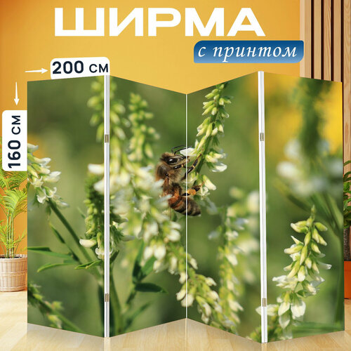 Ширма перегородка с принтом "Пчела, цвести, нектар" на холсте - 200x160 см. для зонирования, раскладная