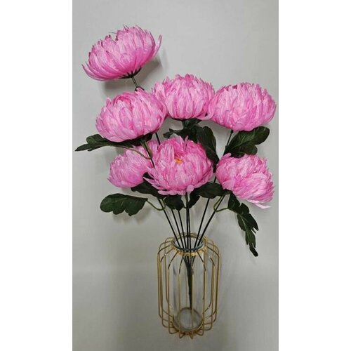 Хризантемы декоративные розовые