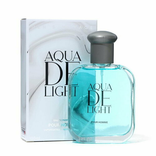 Парфюмерная вода мужская Men's Voyage Aqua Delight, 100 мл