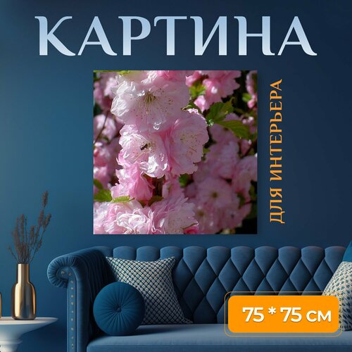 Картина на холсте "Розовый, блум, цветок" на подрамнике 75х75 см. для интерьера