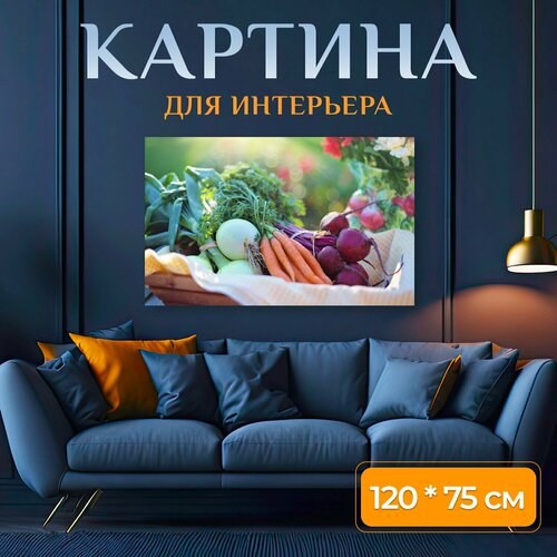 Картина на холсте "Овощи, лук, морковь" на подрамнике 120х75 см. для интерьера