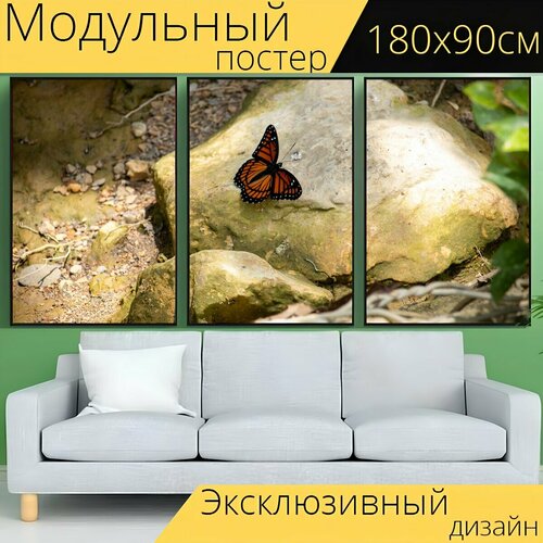 Модульный постер "Бабочка, камень, природа" 180 x 90 см. для интерьера