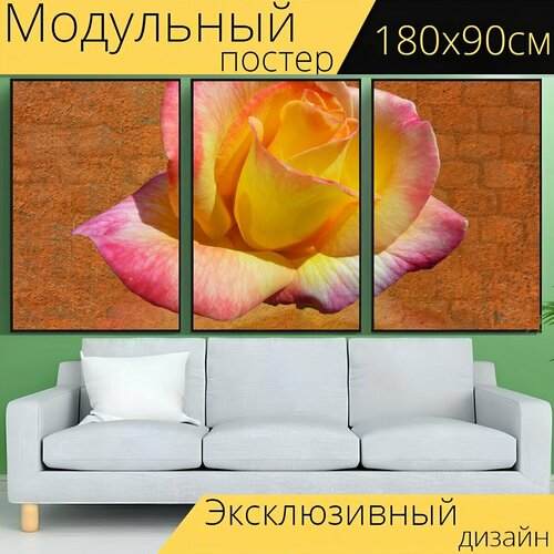 Модульный постер "Роза, цветок, лепесток" 180 x 90 см. для интерьера