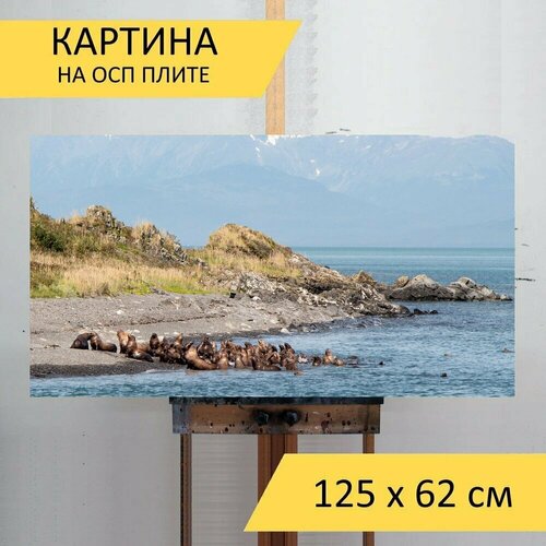 Картина на ОСП 125х62 см. "Морской лев, тюлень, вода" горизонтальная, для интерьера, с креплениями