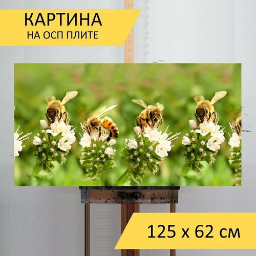 Картина на ОСП 125х62 см. "Пчелы, насекомые, цветочная пыльца" горизонтальная, для интерьера, с креплениями