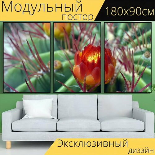 Модульный постер "Кактус, цветок, шипы" 180 x 90 см. для интерьера