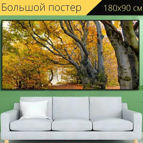 Большой постер "Осень, деревья, листья" 180 x 90 см. для интерьера