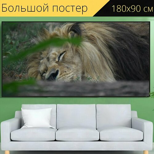 Большой постер "Лев, спать, король" 180 x 90 см. для интерьера