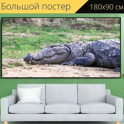 Большой постер "Крокодил, животное, дикая природа" 180 x 90 см. для интерьера