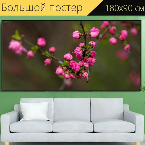 Большой постер "Цветение вишни, цветок, весна" 180 x 90 см. для интерьера