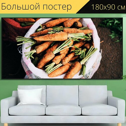 Большой постер "Морковь, еда, свежий" 180 x 90 см. для интерьера