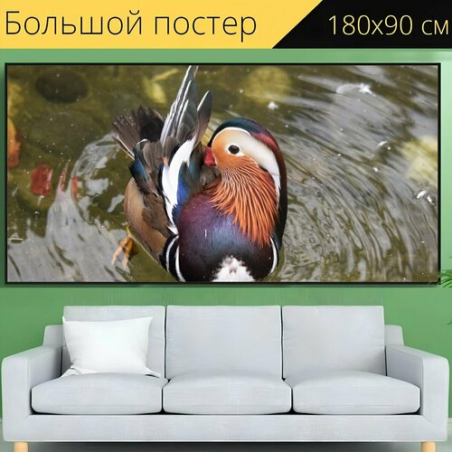 Большой постер "Животное, пруд, птица" 180 x 90 см. для интерьера