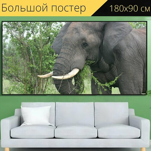 Большой постер "Африканец, слон, пейзаж" 180 x 90 см. для интерьера