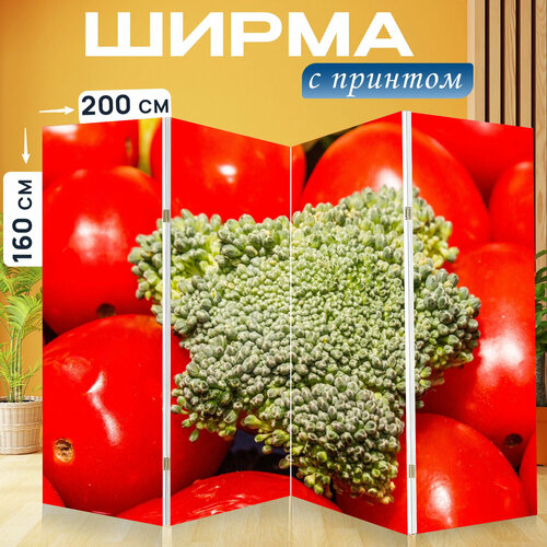 Ширма перегородка с принтом "Еда, овощ, здоровый" на холсте - 200x160 см. для зонирования, раскладная