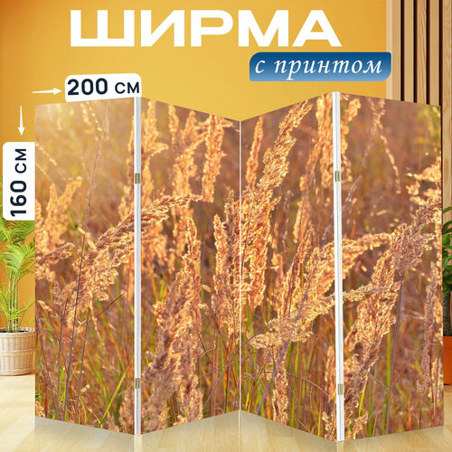 Ширма перегородка с принтом "Метельчатая трава, трава, травы" на холсте - 200x160 см. для зонирования, раскладная