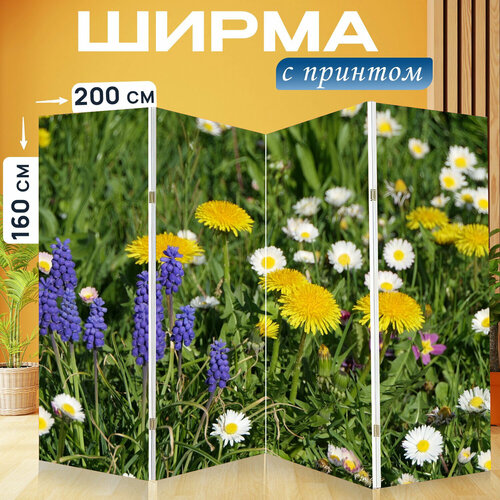 Ширма перегородка с принтом "Цветок, растения, весна" на холсте - 200x160 см. для зонирования, раскладная
