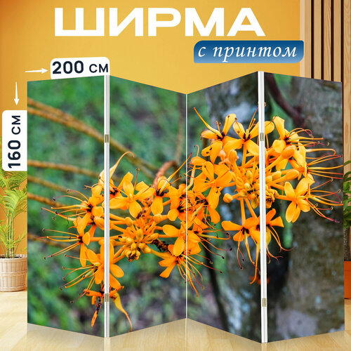 Ширма перегородка с принтом "Сарака ныряет, небольшой, апельсин" на холсте - 200x160 см. для зонирования, раскладная