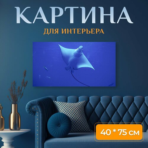 Картина на холсте "Рыбы, аквариум, подводный" на подрамнике 75х40 см. для интерьера
